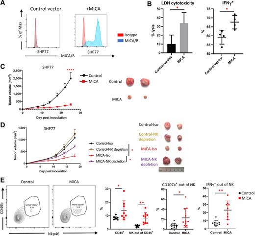 Evasion of Innate Immunity Contributes to Small Cell Lung Cancer ...