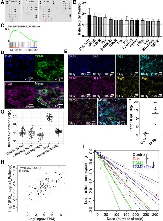 The Irradiated Brain Microenvironment Supports Glioma Stemness and ...