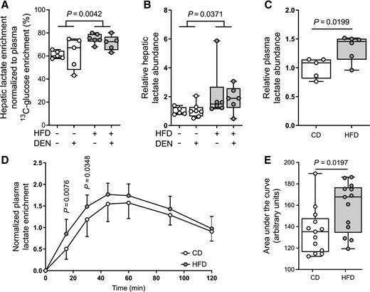 Fat Induces Glucose Metabolism in Nontransformed Liver Cells and ...