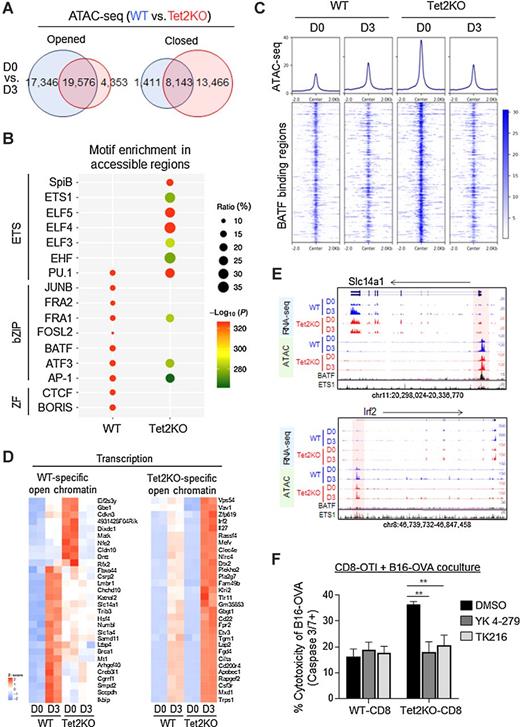 Tet2 Inactivation Enhances the Antitumor Activity of Tumor-Infiltrating ...