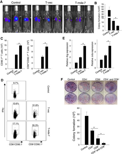 Engineering T Cells to Express Tumoricidal MDA-7/IL24 Enhances Cancer ...