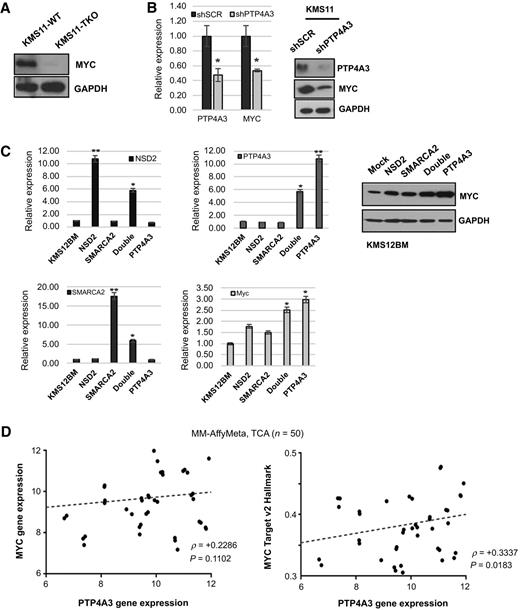 SMARCA2 Is a Novel Interactor of NSD2 and Regulates Prometastatic ...