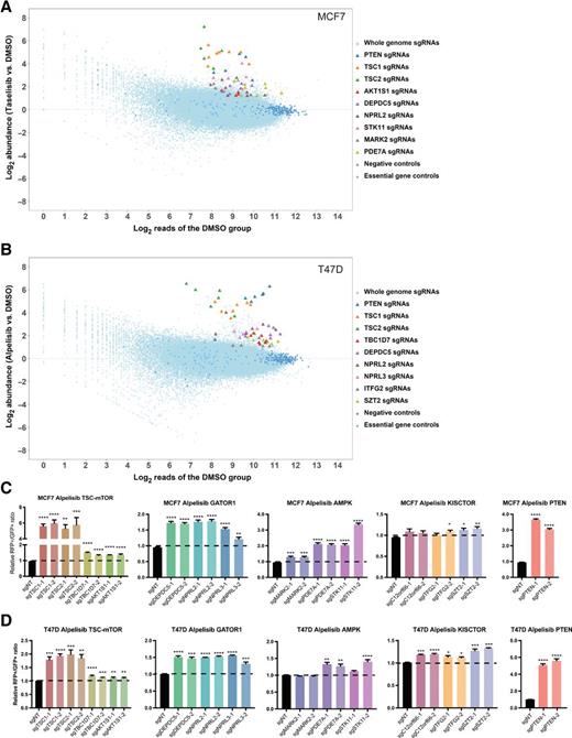 Genomic Alterations in PIK3CA-Mutated Breast Cancer Result in mTORC1 ...