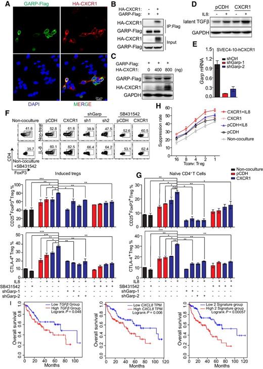 Hepatitis B–Induced IL8 Promotes Hepatocellular Carcinoma Venous ...