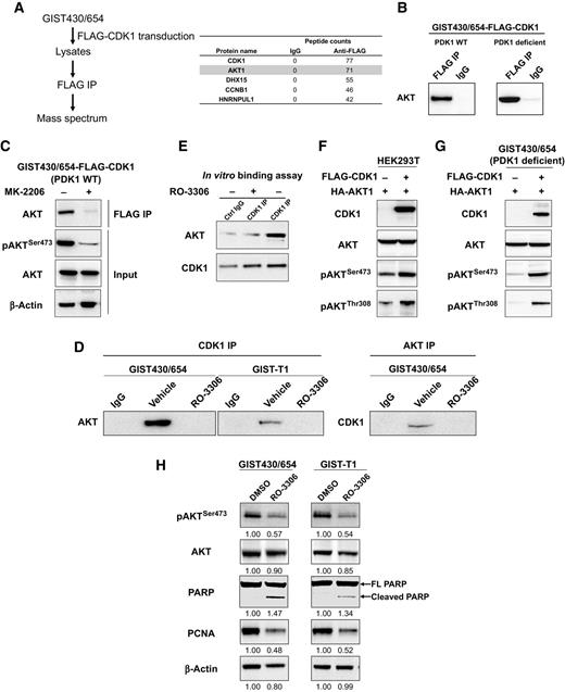 Integrated Screens Identify CDK1 as a Therapeutic Target in Advanced ...
