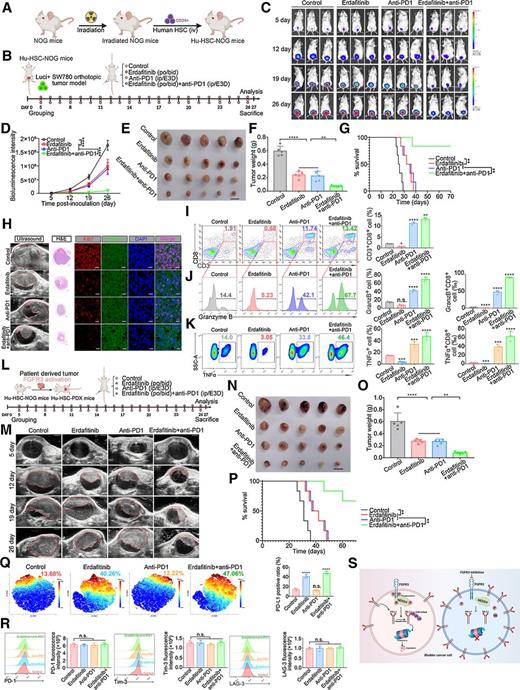 FGFR3 Destabilizes PD-L1 via NEDD4 to Control T-cell–Mediated Bladder ...