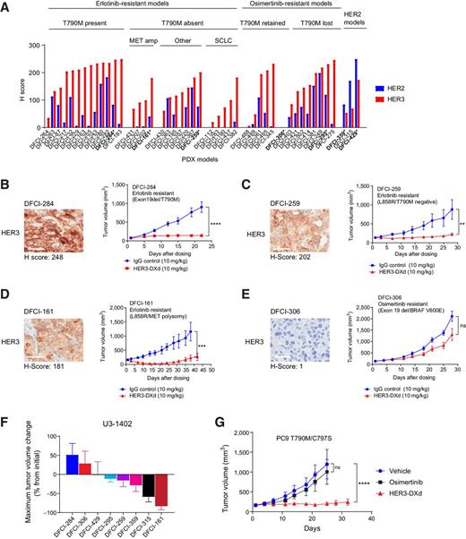 EGFR Inhibition Enhances the Cellular Uptake and Antitumor-Activity of the HER3 Antibody–Drug ...