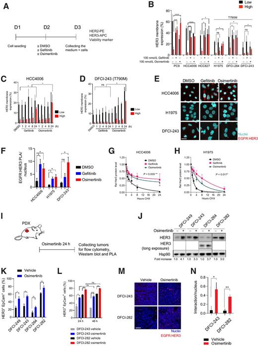 EGFR Inhibition Enhances the Cellular Uptake and Antitumor-Activity of the HER3 Antibody–Drug ...