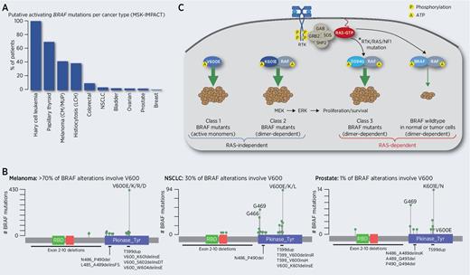 BRAF Mutations: The Discovery of Allele- and Lineage-Specific ...