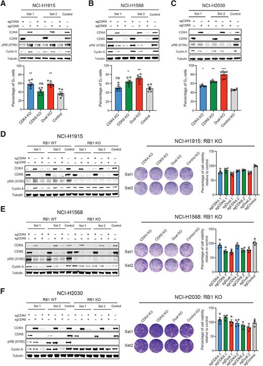 Functional Genomic Analysis of CDK4 and CDK6 Gene Dependency across ...