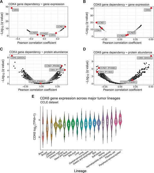 Functional Genomic Analysis of CDK4 and CDK6 Gene Dependency across ...