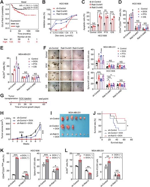 Rab13 Sustains Breast Cancer Stem Cells by Supporting Tumor–Stroma ...