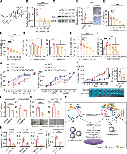 Rab13 Sustains Breast Cancer Stem Cells by Supporting Tumor–Stroma ...