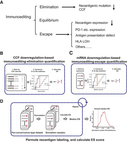 Quantification of Neoantigen-Mediated Immunoediting in Cancer Evolution ...