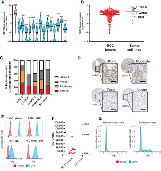 Preclinical Development and Evaluation of Allogeneic CAR T Cells ...