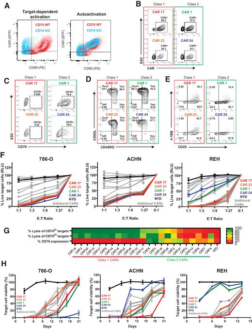 Preclinical Development and Evaluation of Allogeneic CAR T Cells ...