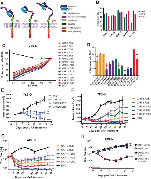 Preclinical Development and Evaluation of Allogeneic CAR T Cells ...