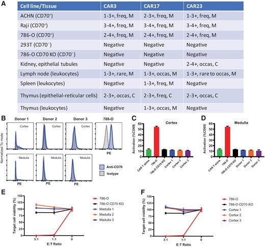 Preclinical Development and Evaluation of Allogeneic CAR T Cells ...