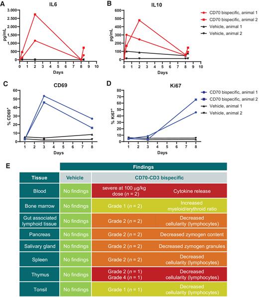 Preclinical Development and Evaluation of Allogeneic CAR T Cells ...