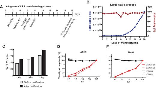 Preclinical Development and Evaluation of Allogeneic CAR T Cells ...