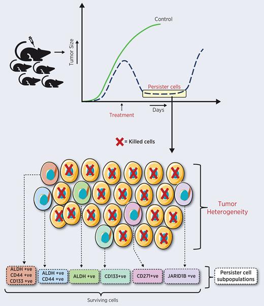 Drug-Tolerant Persister Cells in Cancer Therapy Resistance | Cancer ...