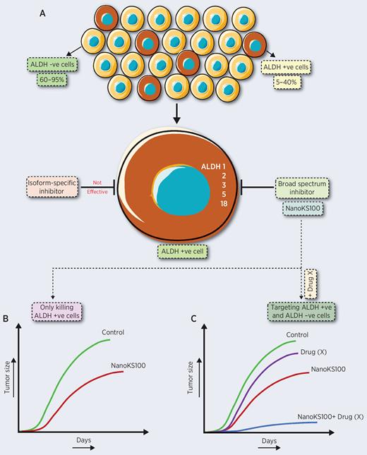 Drug-Tolerant Persister Cells in Cancer Therapy Resistance | Cancer ...