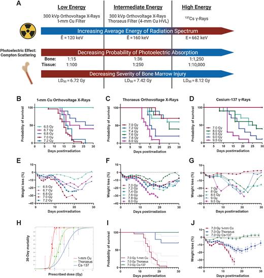 Orthovoltage X-Rays Exhibit Increased Efficacy Compared with γ-Rays in ...