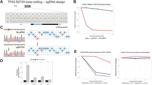 Efficient Correction of Oncogenic KRAS and TP53 Mutations through ...
