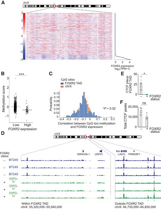 FOXR2 Is an Epigenetically Regulated Pan-Cancer Oncogene That Activates ...