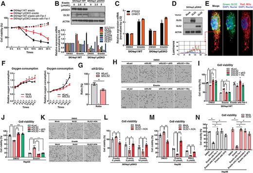 GLS2 Is a Tumor Suppressor and a Regulator of Ferroptosis in ...