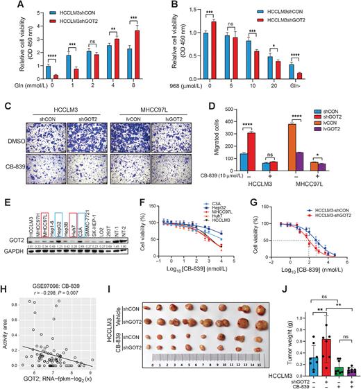 GOT2 Silencing Promotes Reprogramming of Glutamine Metabolism and ...