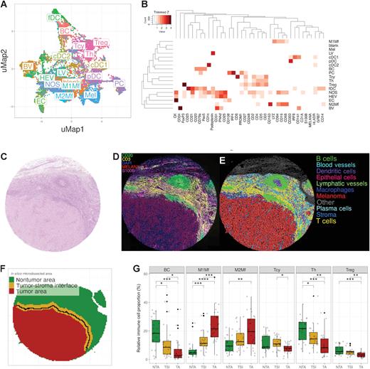 Mapping the Immune Landscape in Metastatic Melanoma Reveals Localized ...