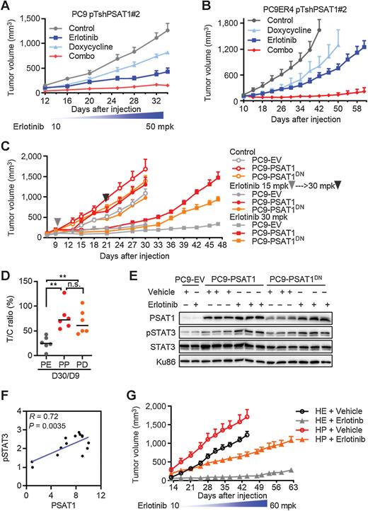 Metabolic and Nonmetabolic Functions of PSAT1 Coordinate Signaling ...