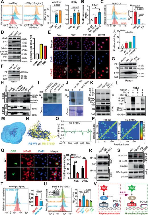 Targeting Plk1 Sensitizes Pancreatic Cancer to Immune Checkpoint ...