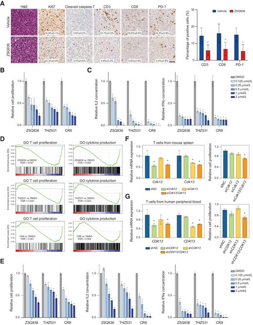 Dual Inhibition of CDK12/CDK13 Targets Both Tumor and Immune Cells in ...