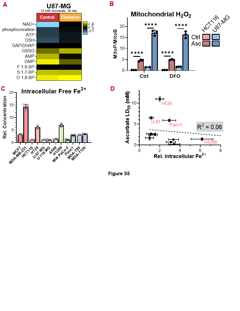 Selenium Modulates Cancer Cell Response to Pharmacologic Ascorbate ...