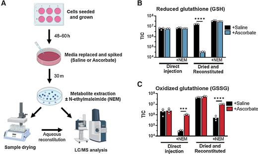 Selenium Modulates Cancer Cell Response to Pharmacologic Ascorbate ...