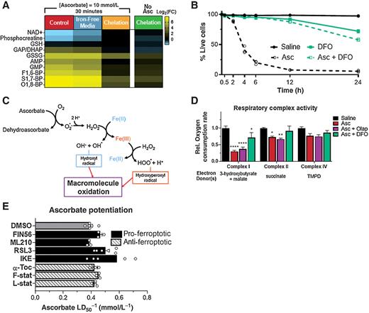 Selenium Modulates Cancer Cell Response to Pharmacologic Ascorbate ...