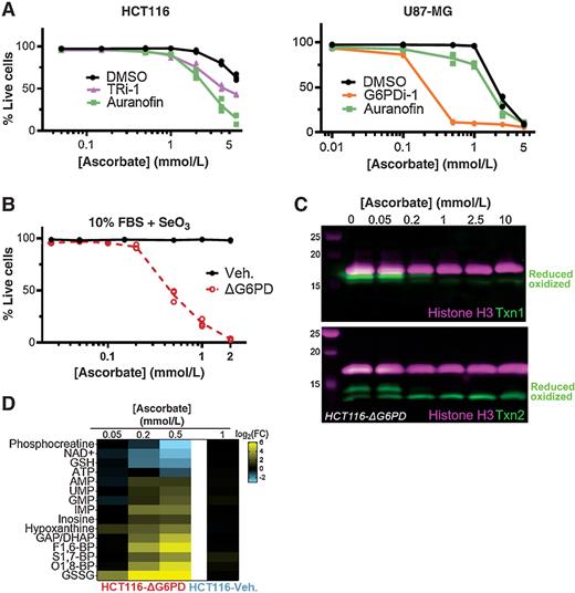 Selenium Modulates Cancer Cell Response to Pharmacologic Ascorbate ...