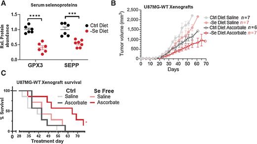 Selenium Modulates Cancer Cell Response to Pharmacologic Ascorbate ...
