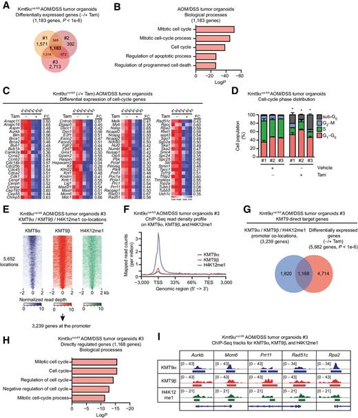 KMT9 Controls Stemness and Growth of Colorectal Cancer | Cancer ...