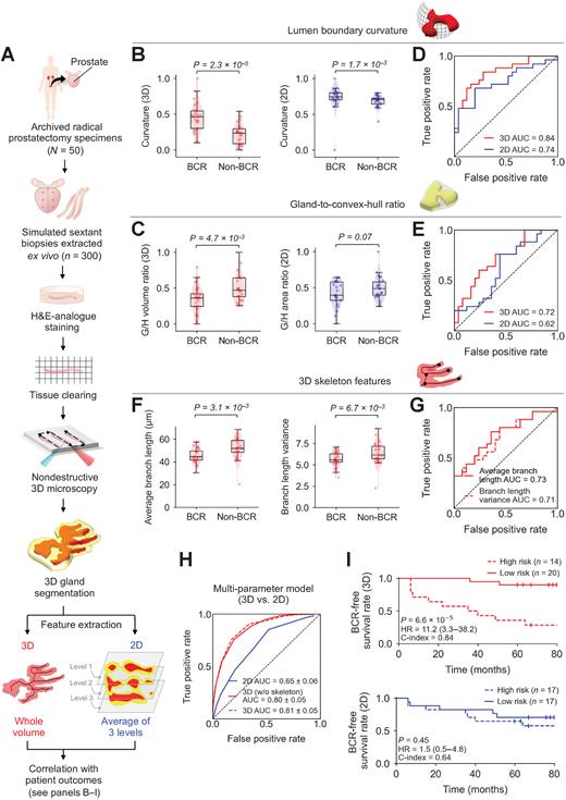 Prostate Cancer Risk Stratification via Nondestructive 3D Pathology ...