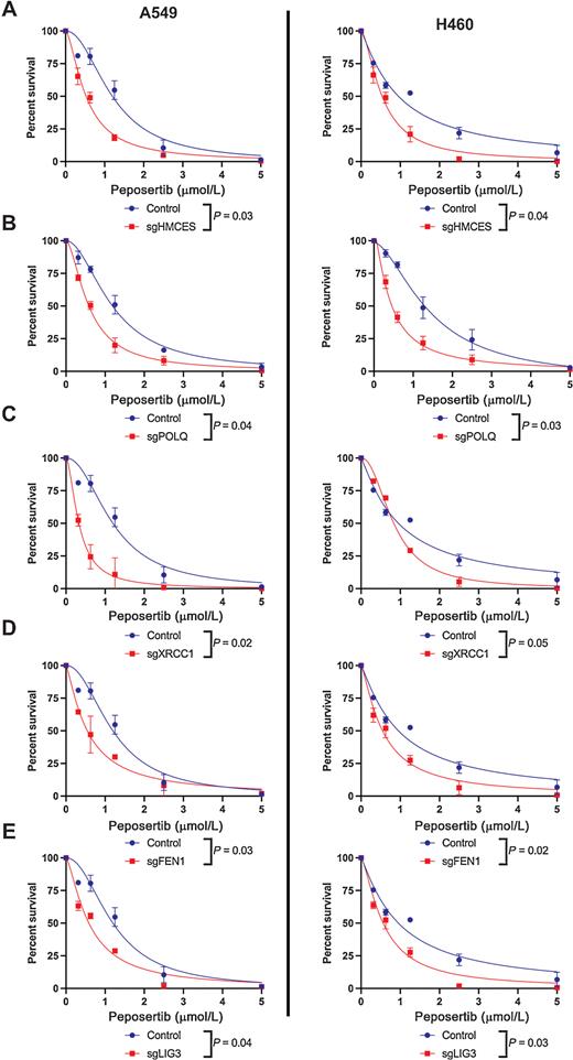 Targeting DNA Repair with Combined Inhibition of NHEJ and MMEJ Induces ...