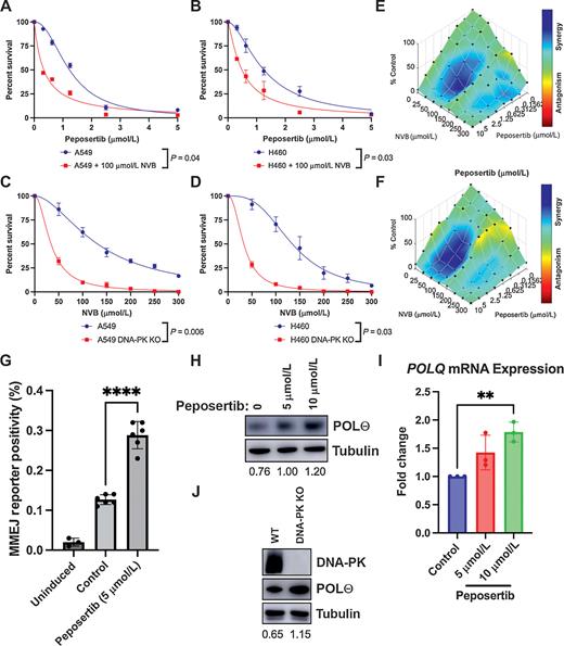 Targeting DNA Repair with Combined Inhibition of NHEJ and MMEJ Induces ...