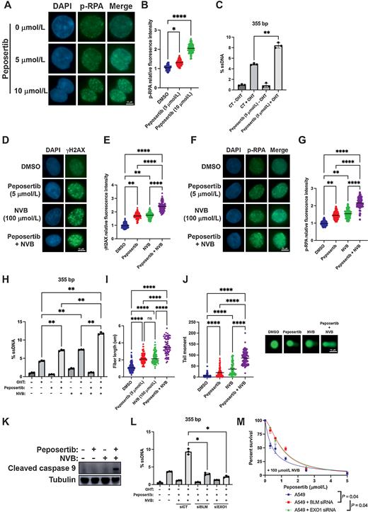 Targeting DNA Repair with Combined Inhibition of NHEJ and MMEJ Induces ...