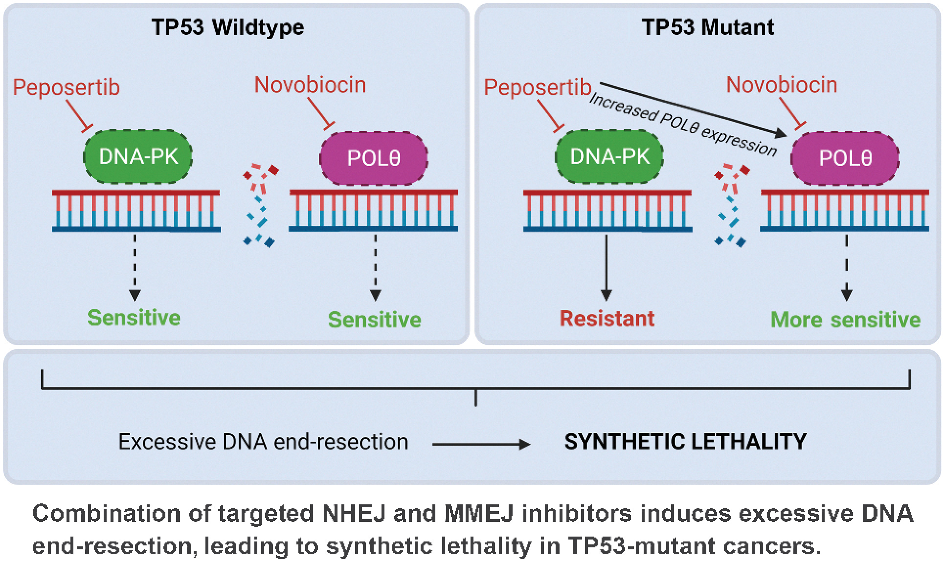 Targeting DNA Repair with Combined Inhibition of NHEJ and MMEJ Induces ...