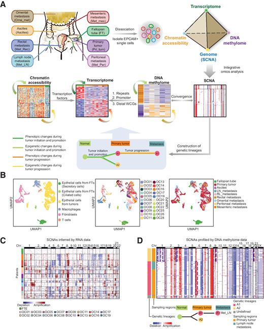 Single-Cell Dissection of the Multiomic Landscape of High-Grade Serous ...
