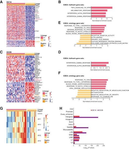 Single-Cell Dissection of the Multiomic Landscape of High-Grade Serous ...