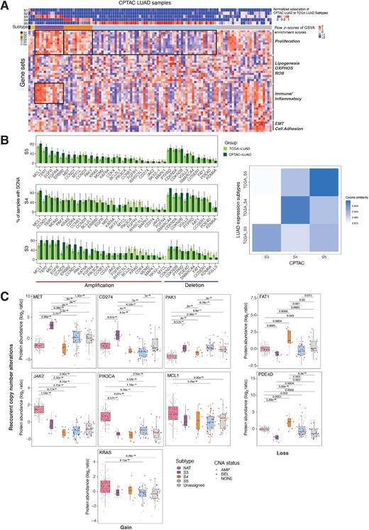 High-Resolution Profiling of Lung Adenocarcinoma Identifies Expression ...