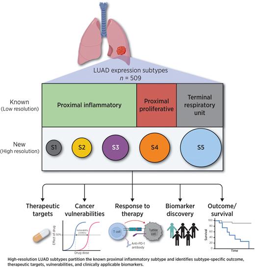 High-Resolution Profiling of Lung Adenocarcinoma Identifies Expression ...